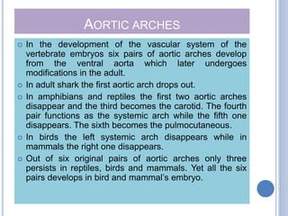 Embryological and physiological evidences of evolution | PPTX ...