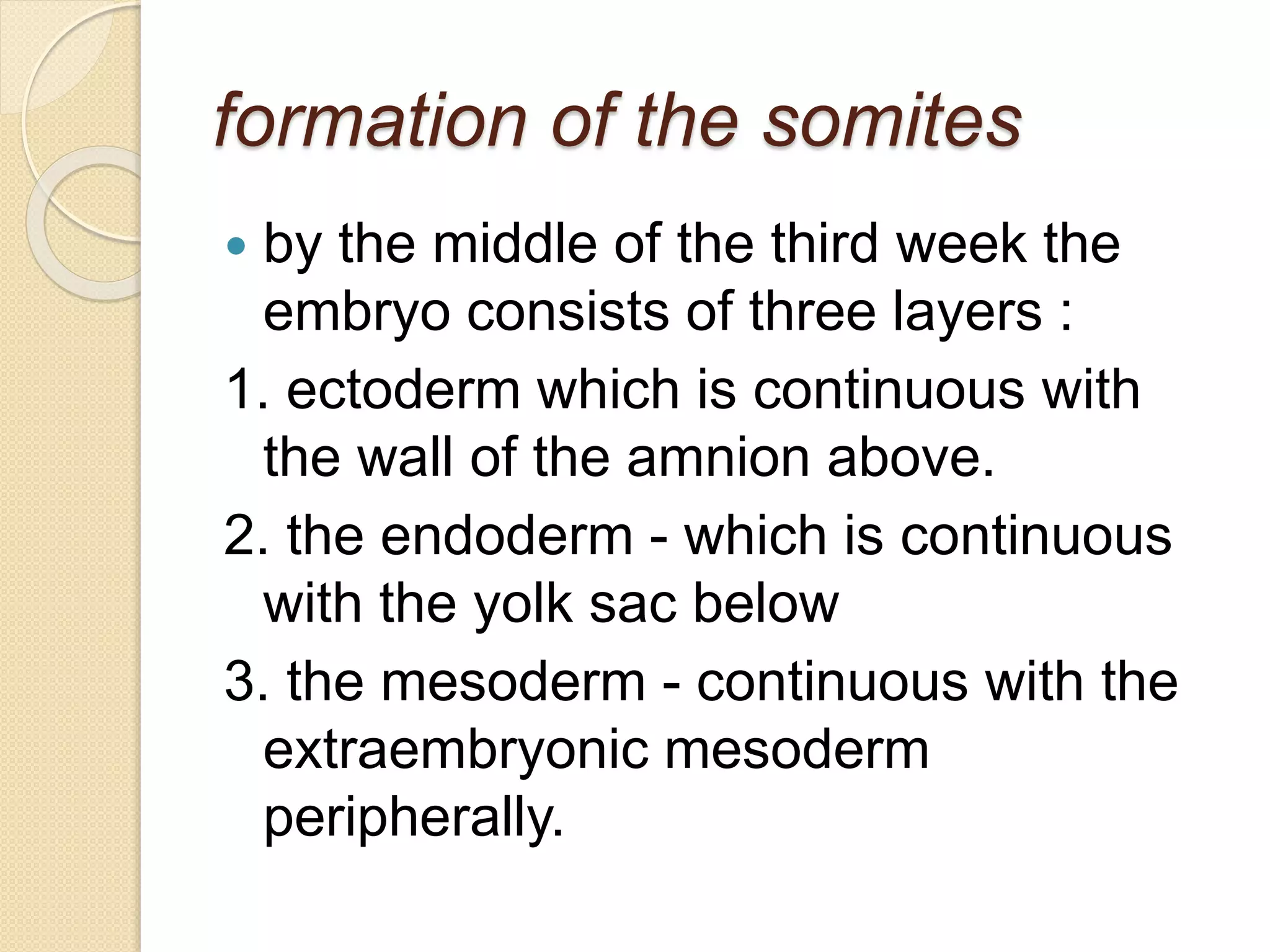 (Lec 2) Embryology - Embryologic derivation of oral and dental ...