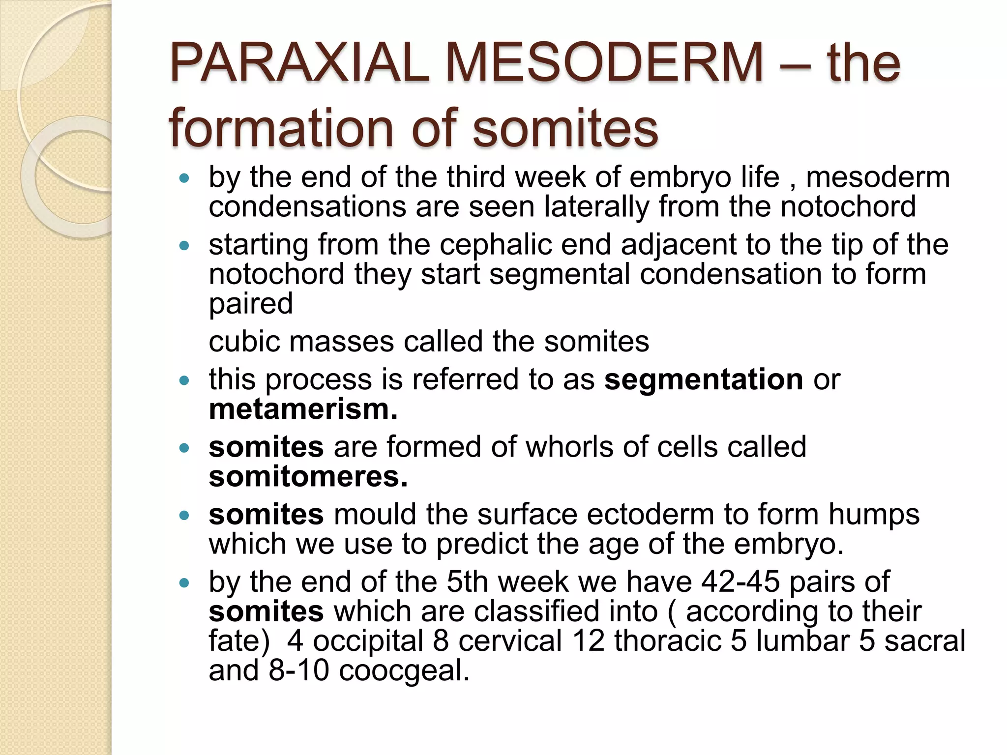 (Lec 2) Embryology - Embryologic derivation of oral and dental ...