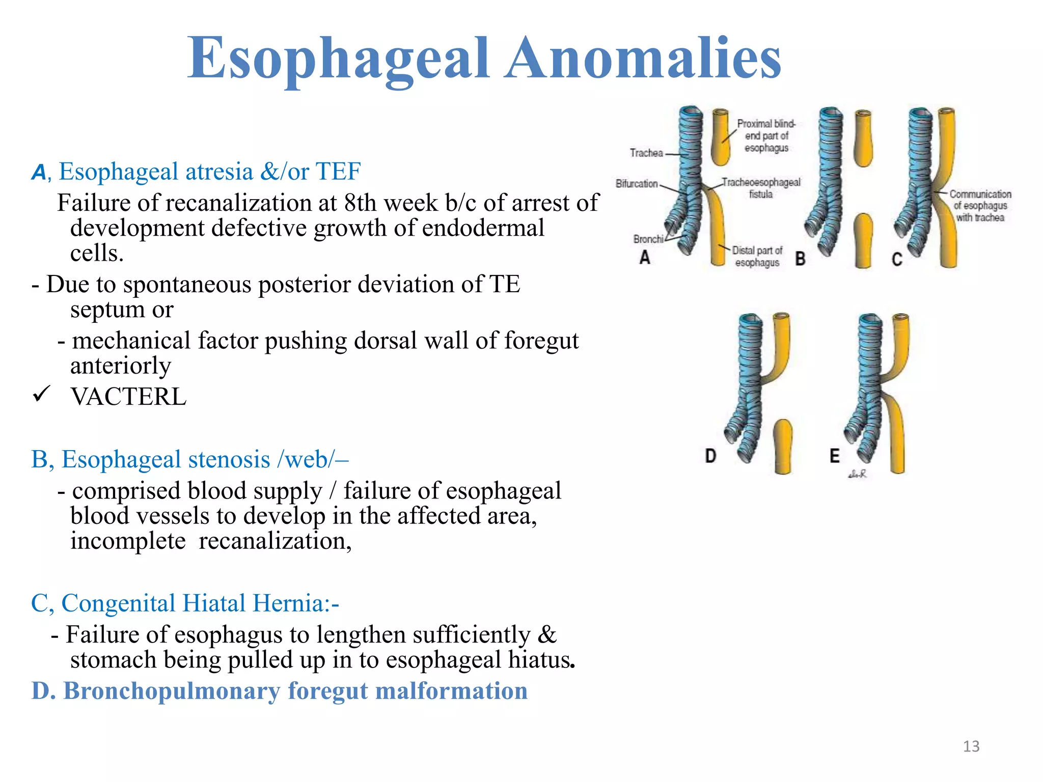 Embryologic basis of GIT malformation | PPTX