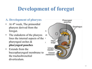 Embryologic basis of GIT malformation | PPTX