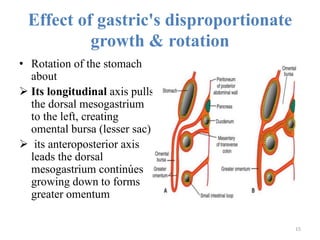 Embryologic basis of GIT malformation | PPTX