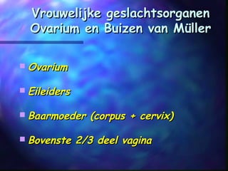 Embryologische ontwikkeling | PPT
