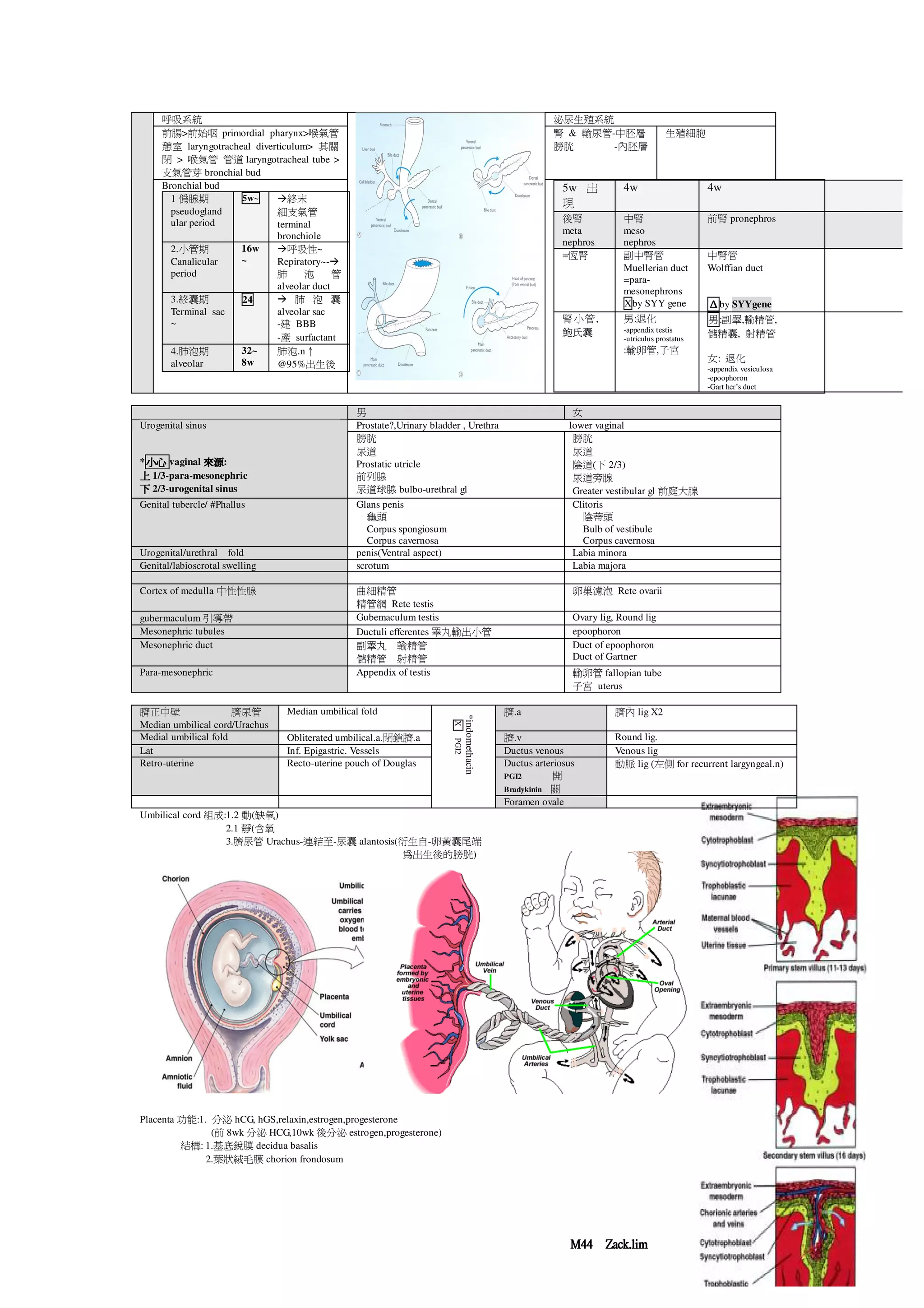 Embryology 胚胎學 | PDF