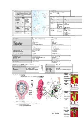 Embryology 胚胎學 | PDF