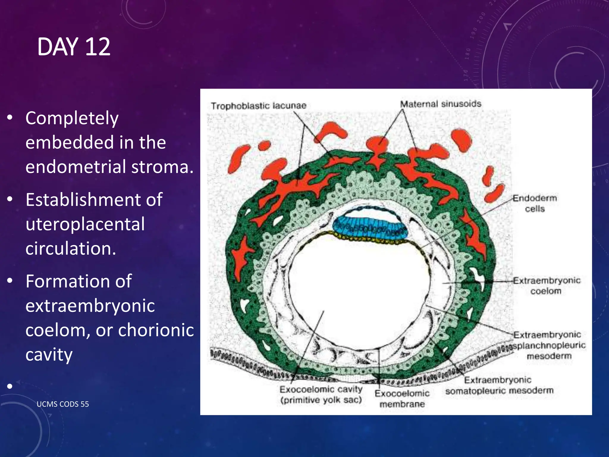 EMBRYOLOGY in Orthodontics and Dentofacial Orthopedics | PPTX ...