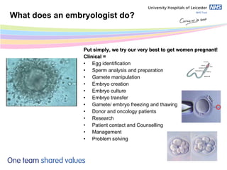 Embryology | PPT
