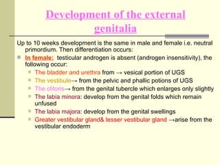 Embryology | PPT