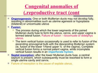 Embryology | PPT