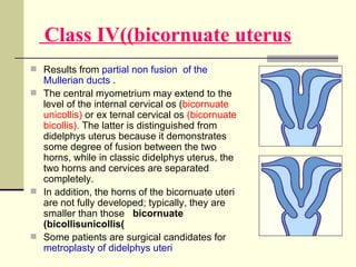 Embryology | PPT