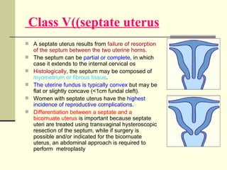 Embryology | PPT