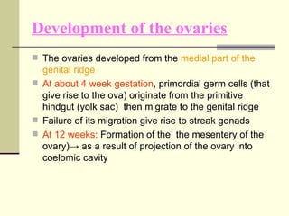Embryology | PPT