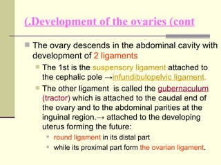 Embryology | PPT