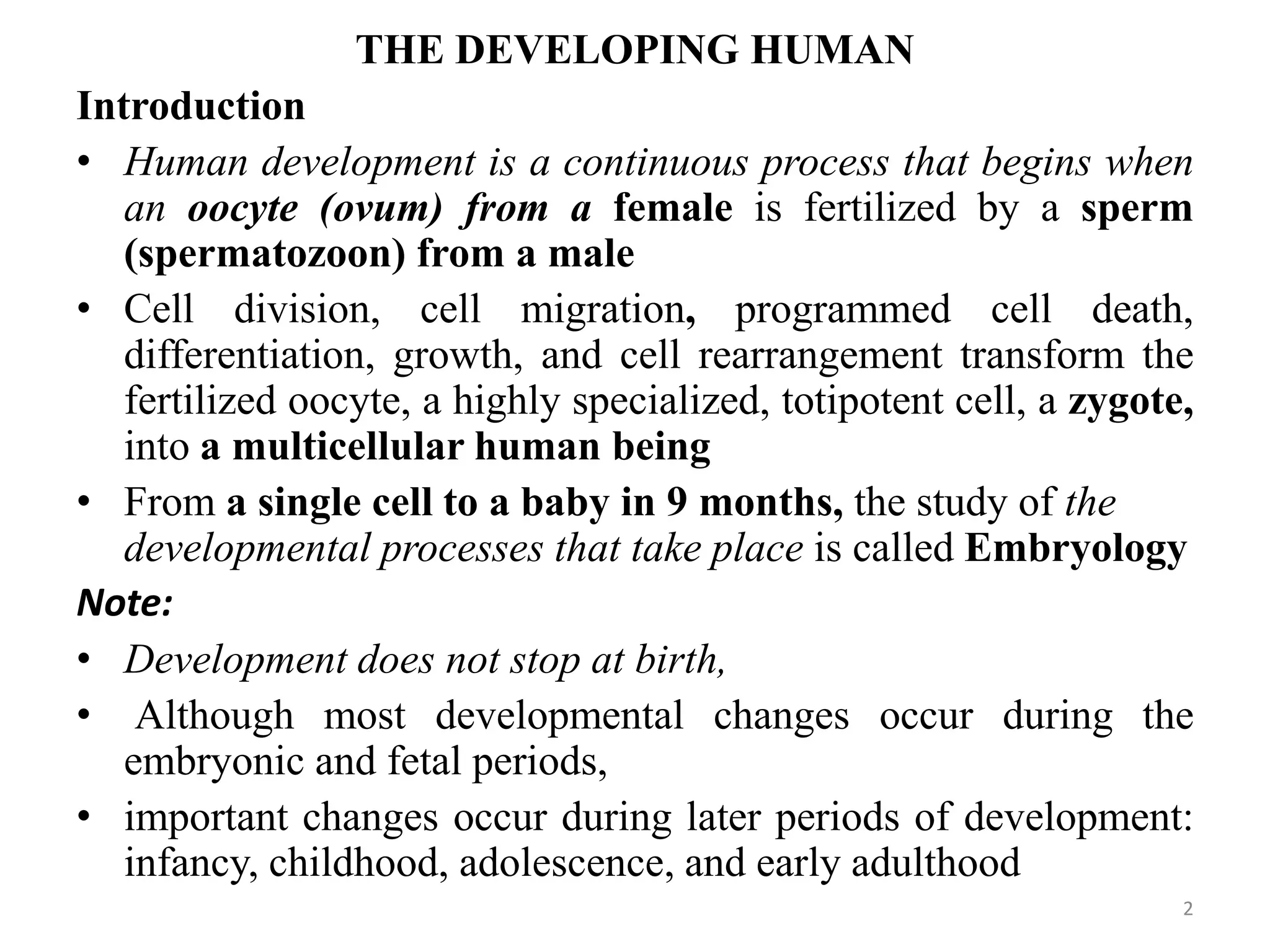 Embryology | PPT | Free Download