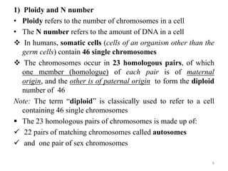 Embryology | PPT