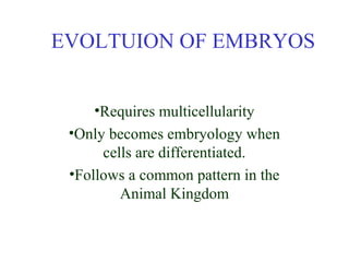 Embryology | PPT