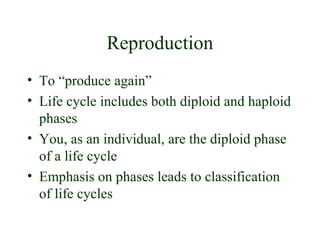 Embryology | PPT