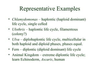 Embryology | PPT
