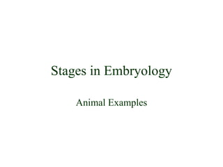 Embryology | PPT