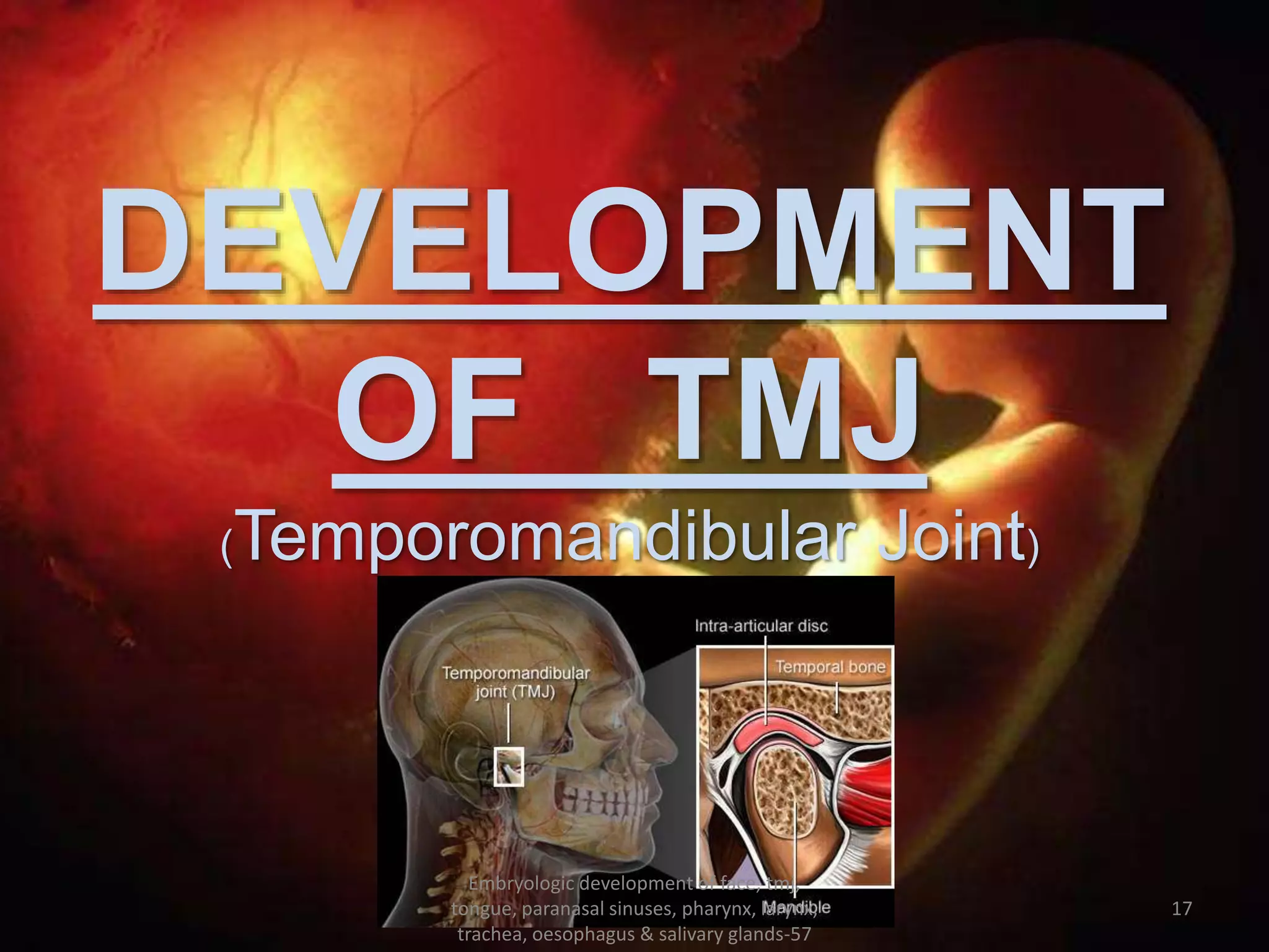 Embryology of face, tmj, tongue, paranasal sinuses, pharynx, larynx ...