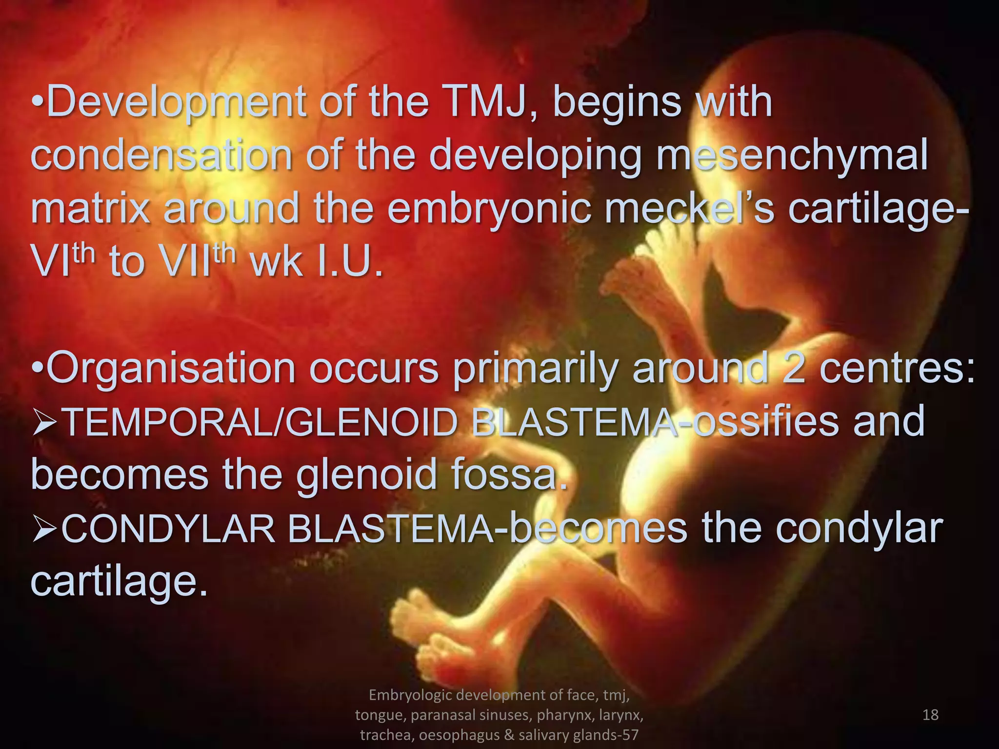 Embryology of face, tmj, tongue, paranasal sinuses, pharynx, larynx ...