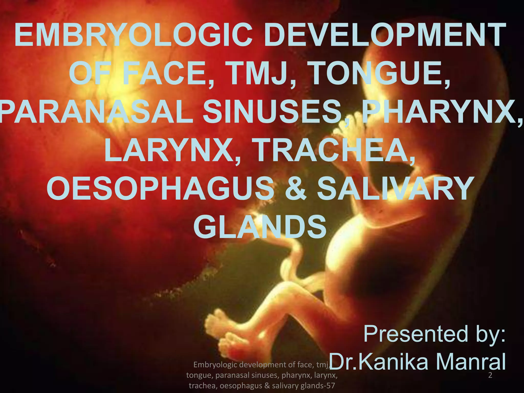 Embryology of face, tmj, tongue, paranasal sinuses, pharynx, larynx ...