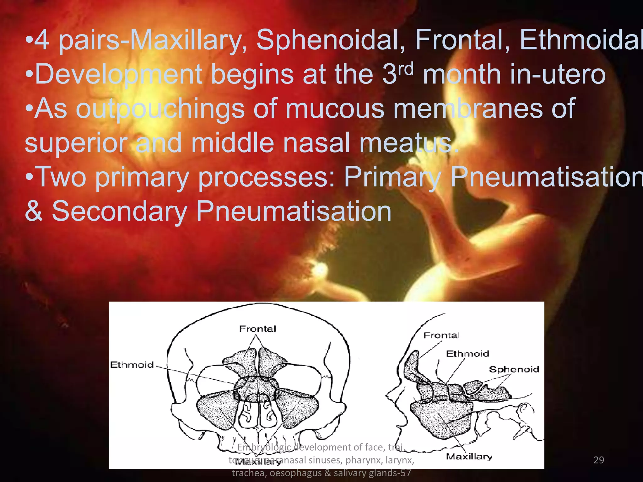 Embryology of face, tmj, tongue, paranasal sinuses, pharynx, larynx ...