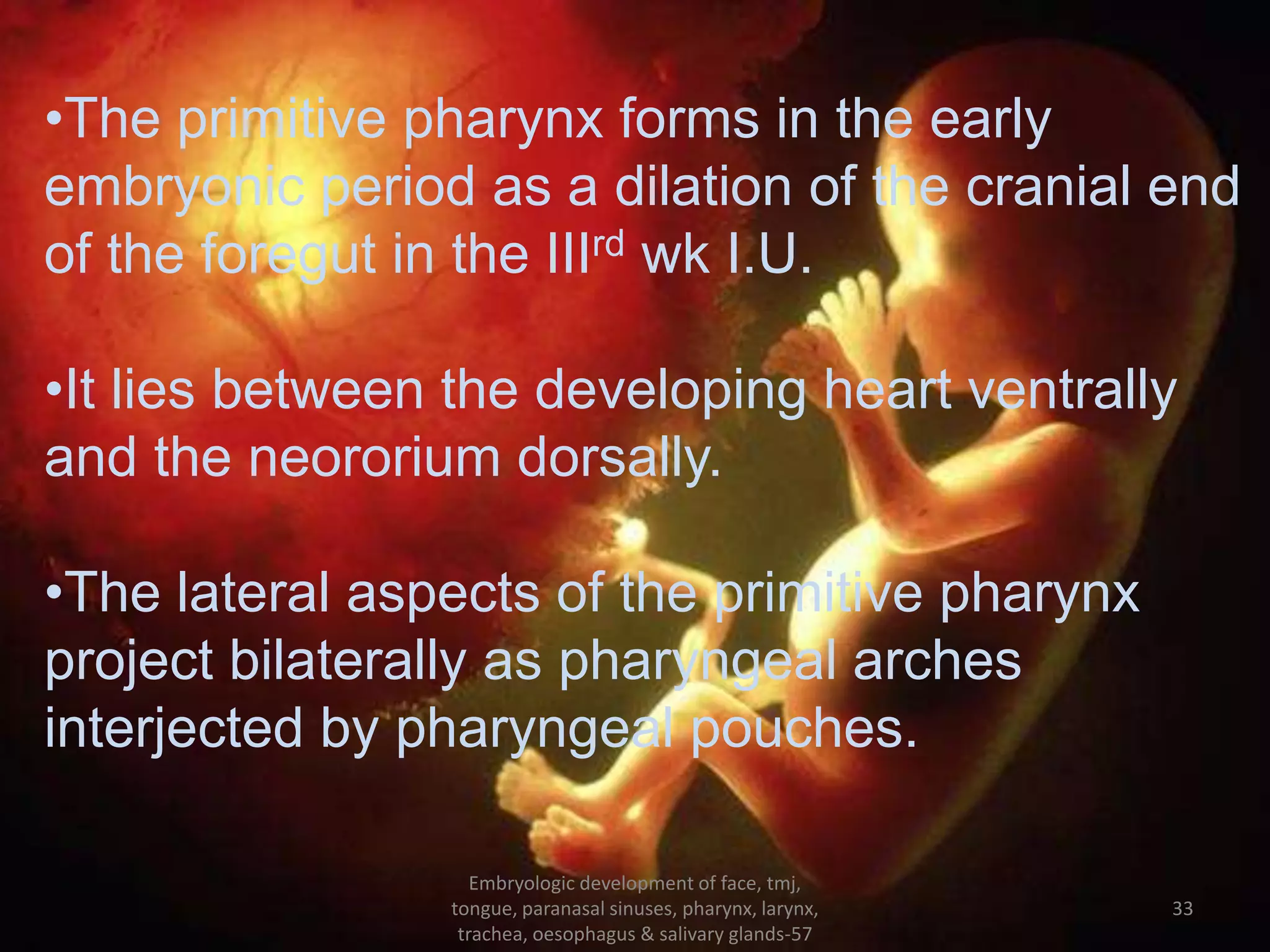 Embryology of face, tmj, tongue, paranasal sinuses, pharynx, larynx ...