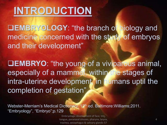 Embryology of face, tmj, tongue, paranasal sinuses, pharynx, larynx ...