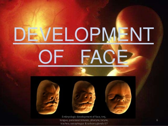 Embryology of face, tmj, tongue, paranasal sinuses, pharynx, larynx,