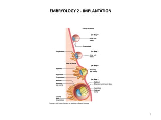 Embryology Basics | PPTX
