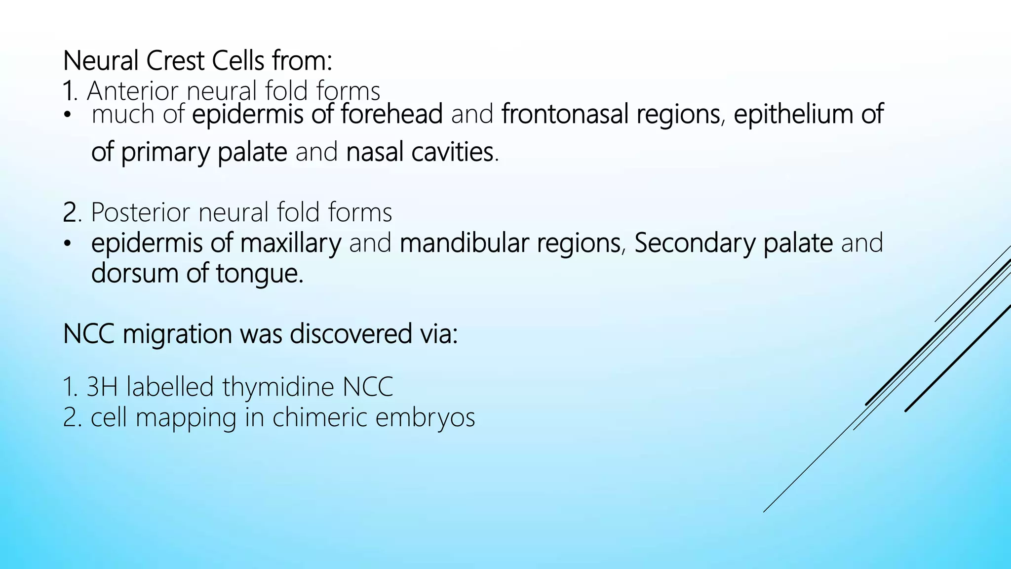 Embryology of head & neck | PPTX