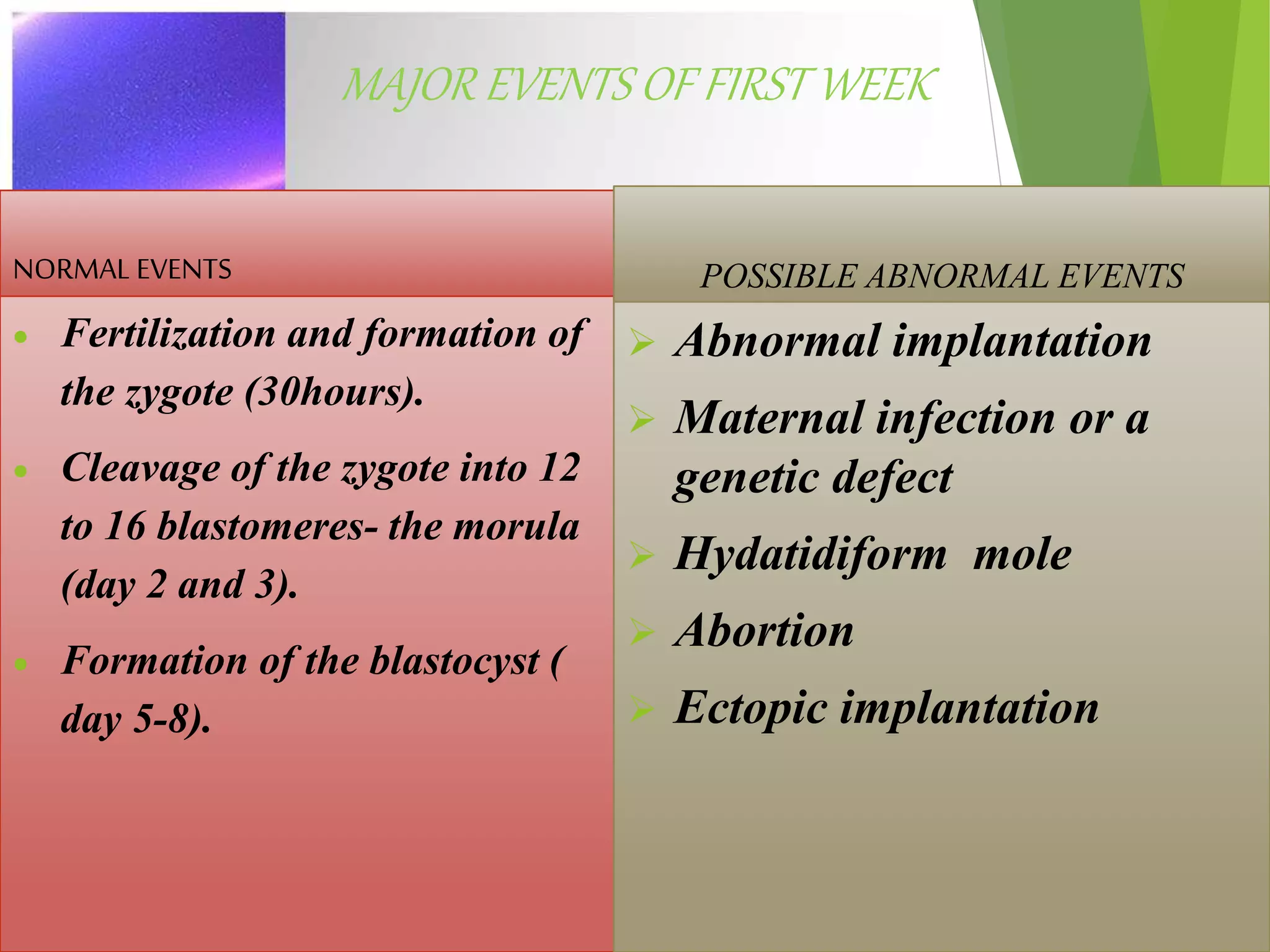 Embryology | PPTX
