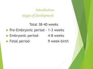 Embryology | PPTX