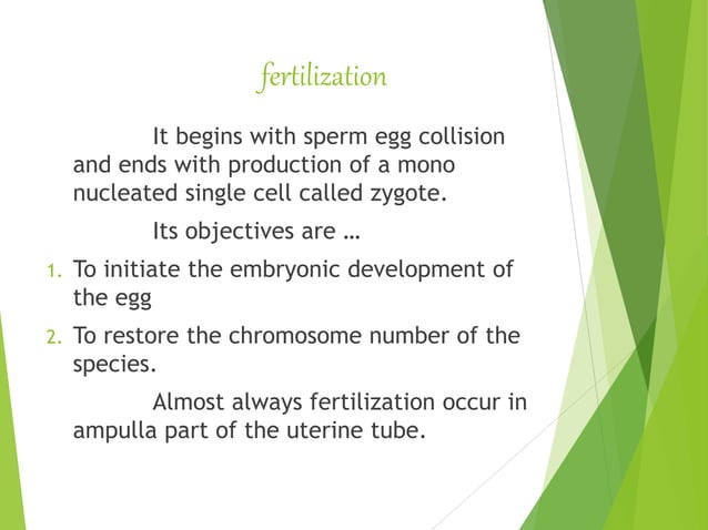 Embryology | PPTX | Pregnancy | Reproductive Health