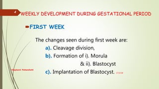 Embryology 1, first week of dev. | PPTX