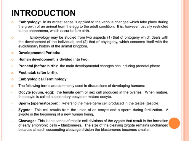 Embryology-all basic definition,Stage wise development of fetus ...