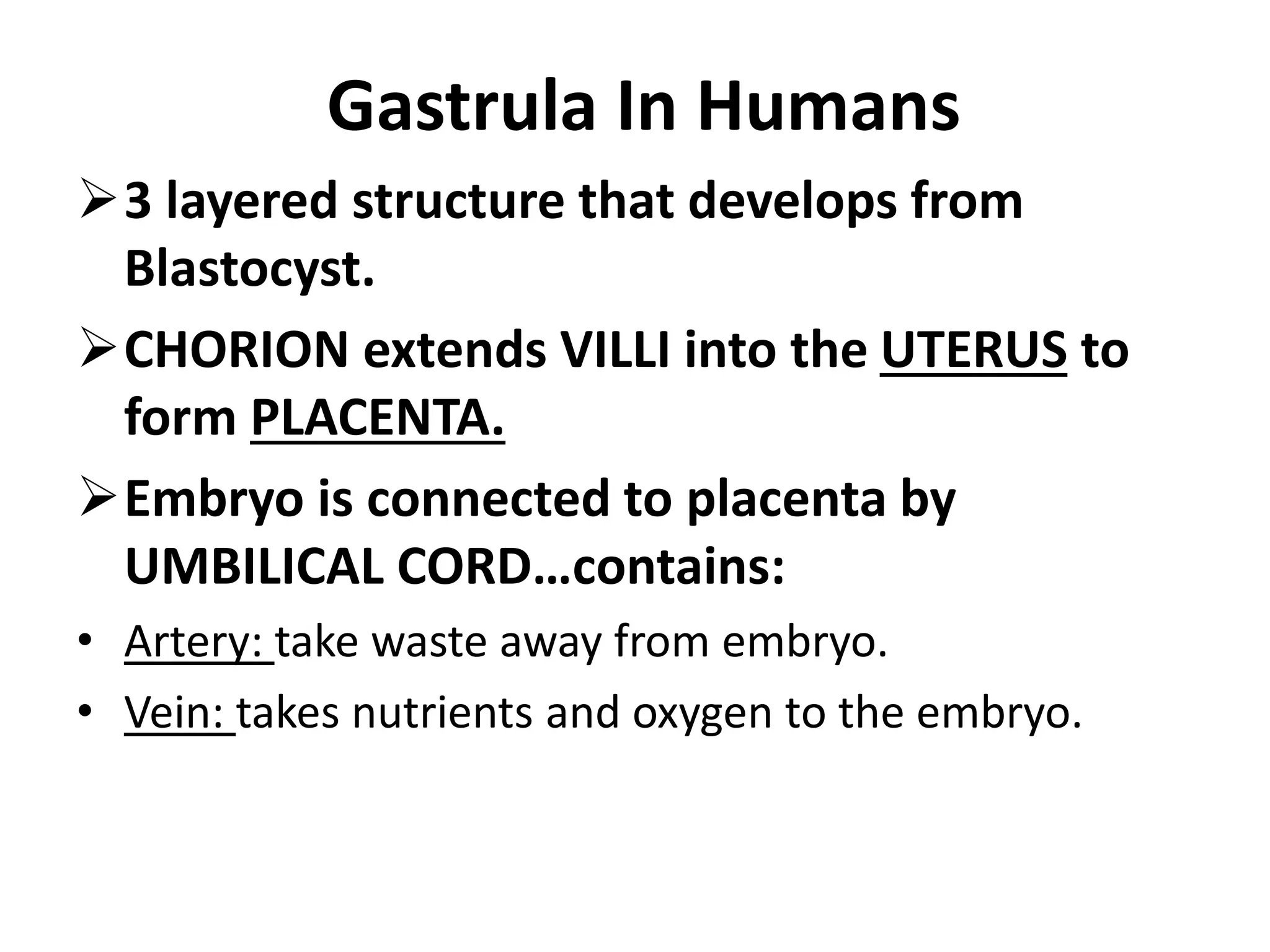 EMBRYOLOGY.pptx