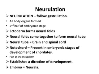 EMBRYOLOGY.pptx | Infertility | Reproductive Health