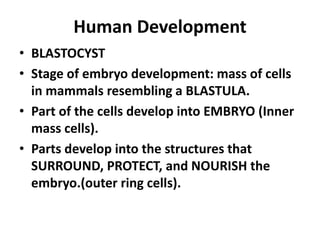 EMBRYOLOGY.pptx | Infertility | Reproductive Health