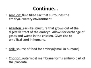 EMBRYOLOGY.pptx | Infertility | Reproductive Health