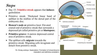 EMBRYOLOGY.pptx
