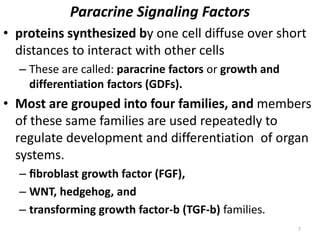 embryology.pptx