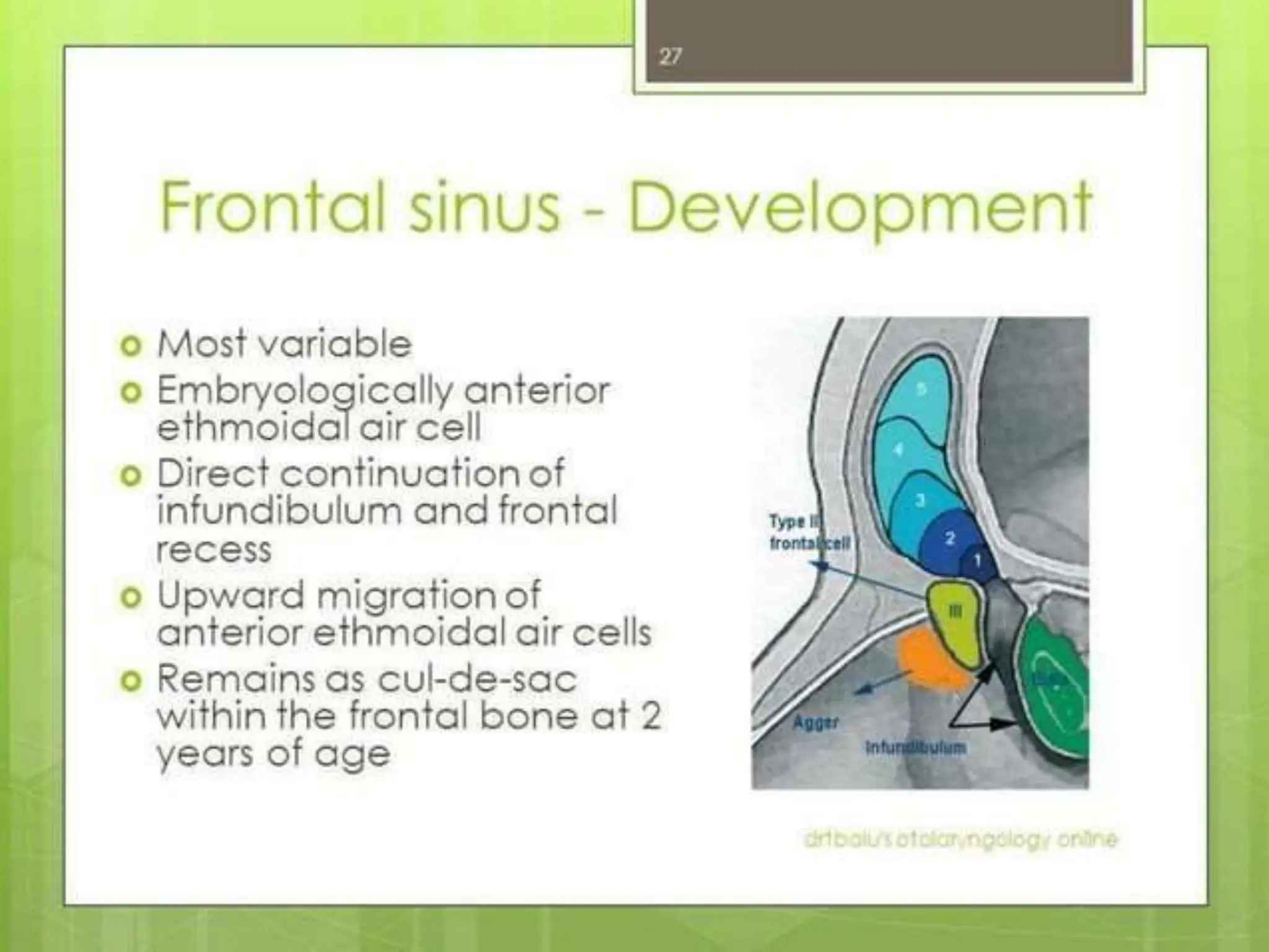 embryology.pptx