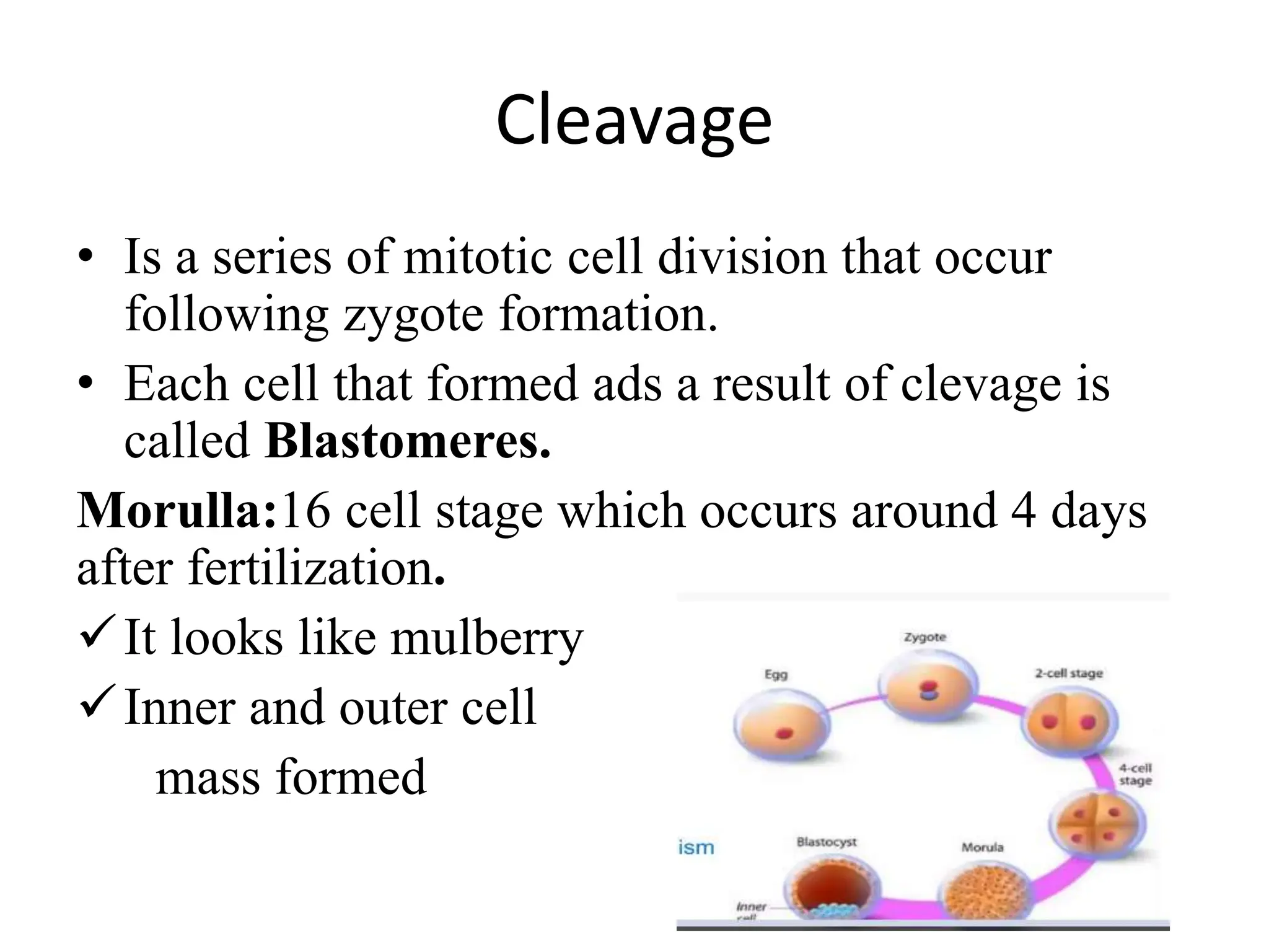 Embryology.pptx