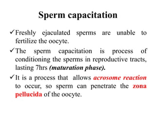 Embryology.pptx