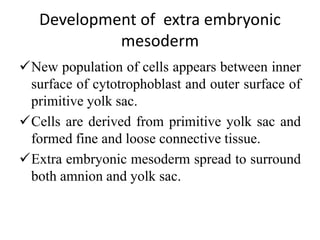 Embryology.pptx