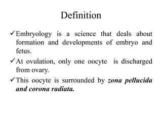 Embryology.pptx