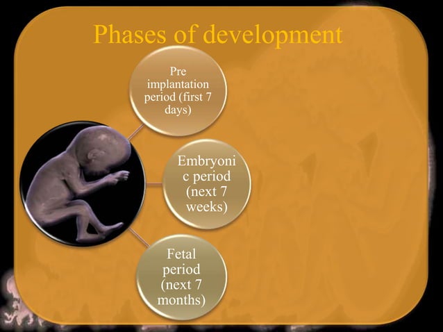 Basic Embryology for 1st BDS students.pptx