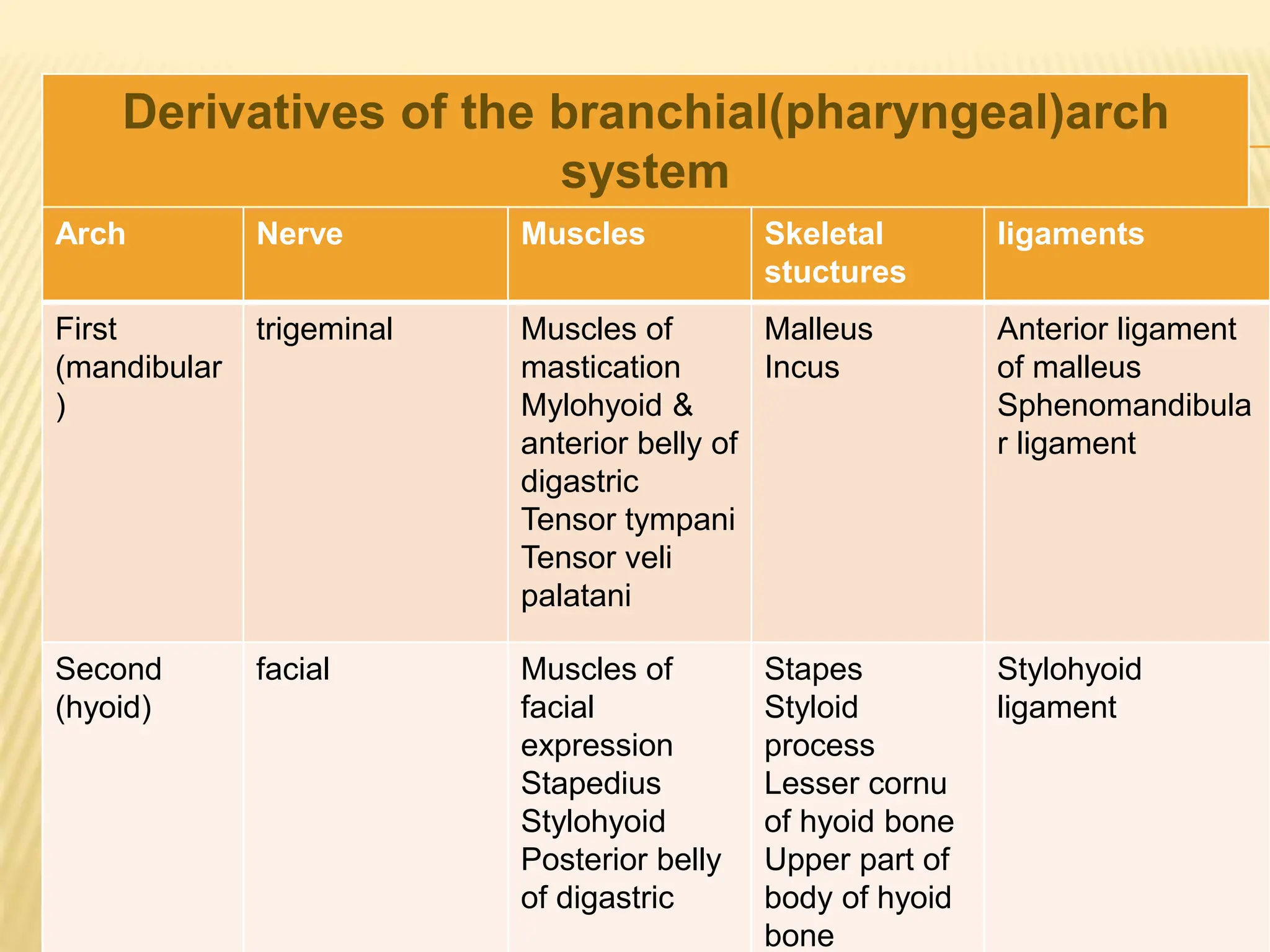 Basic Embryology for 1st BDS students.pptx